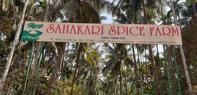 Sahakari Spice Farm and Old Goa tour in AC Private Car - Travel ...